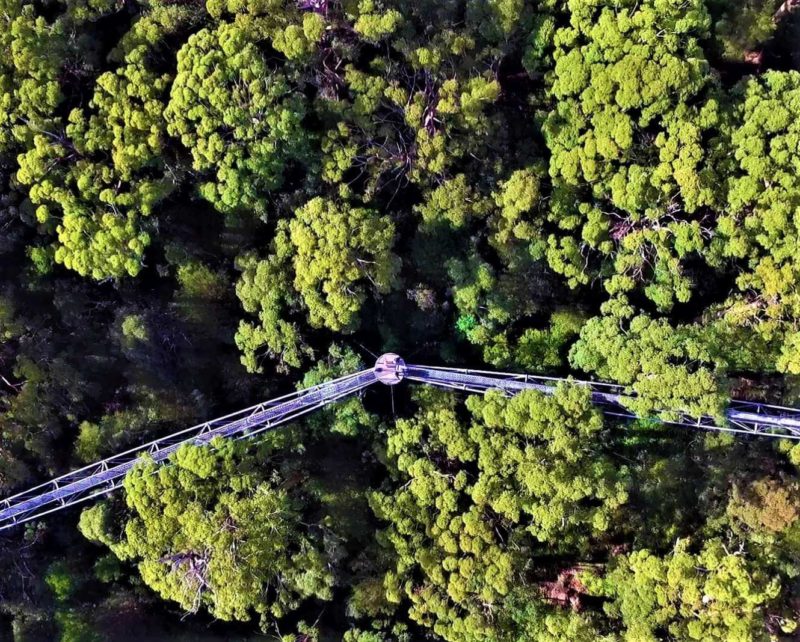 Walpole-Nornalup National Park - Atemberaubender Tree Top Walk!
