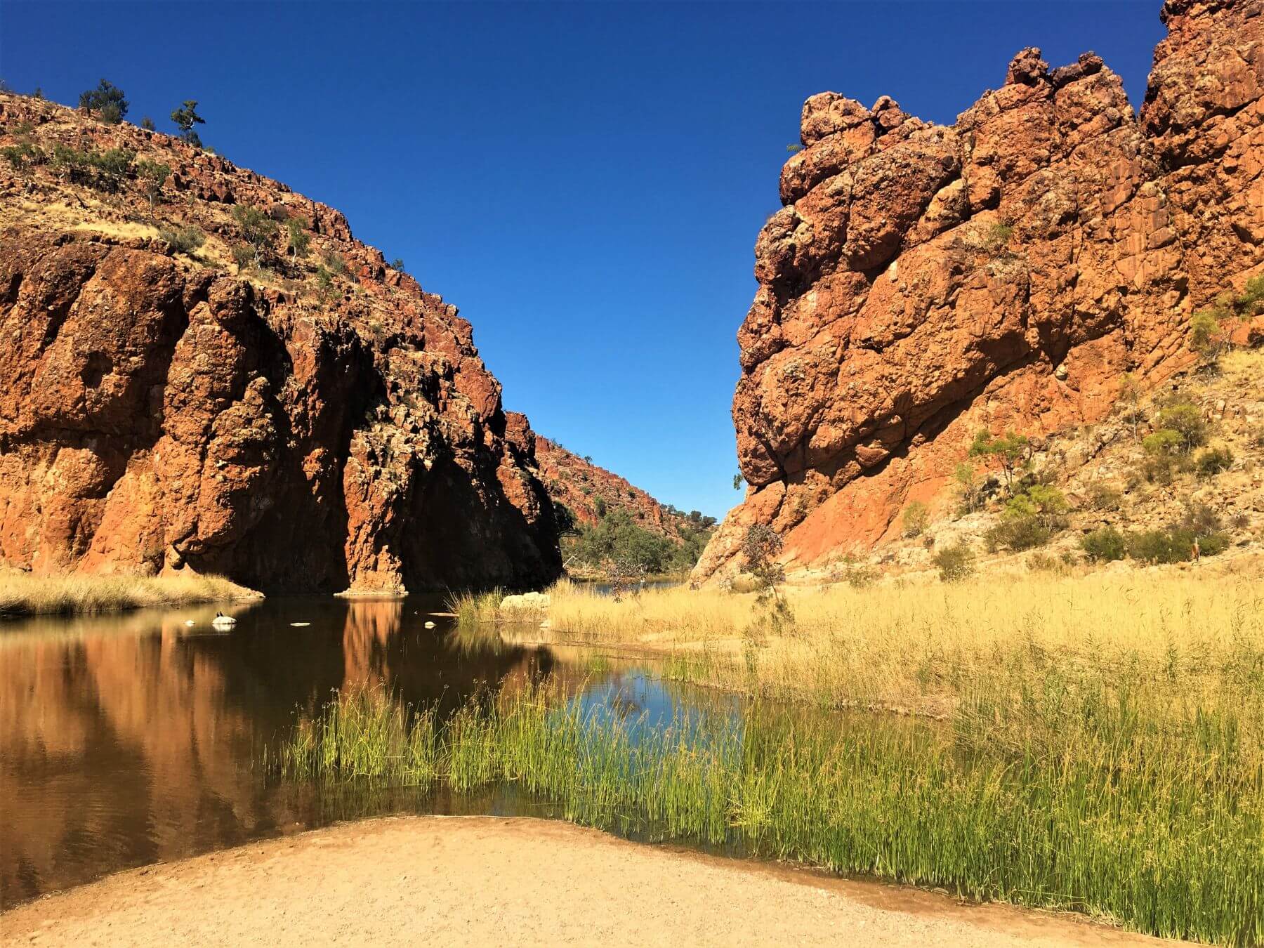 West MacDonnell National Park - Highlight bei Alice Springs!