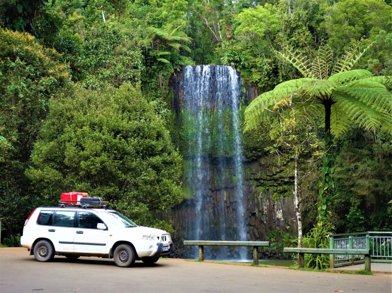 Waterfall Circuit in den Atherton Tablelands - Traumhafte Millaa Millaa ...