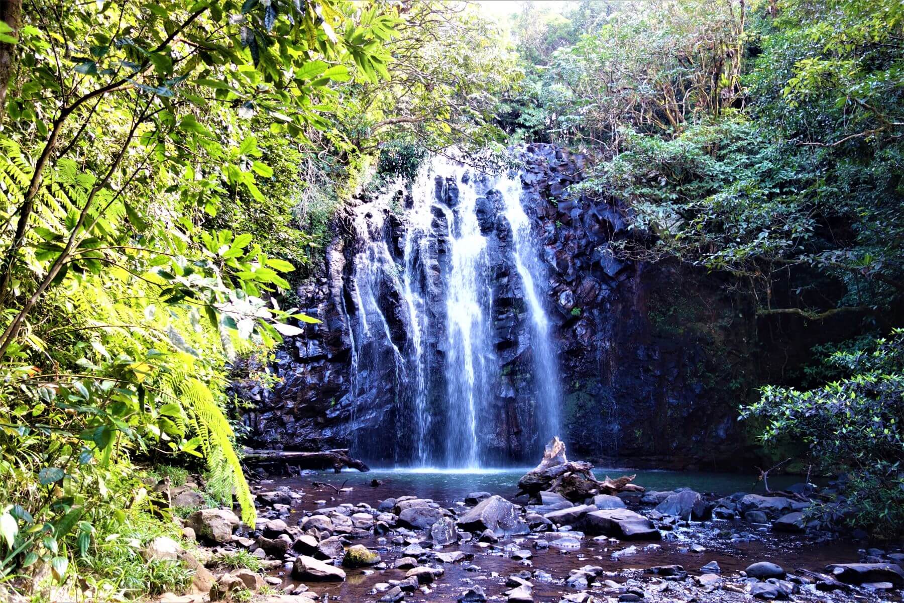 Waterfall Circuit in den Atherton Tablelands und Millaa Millaa Falls